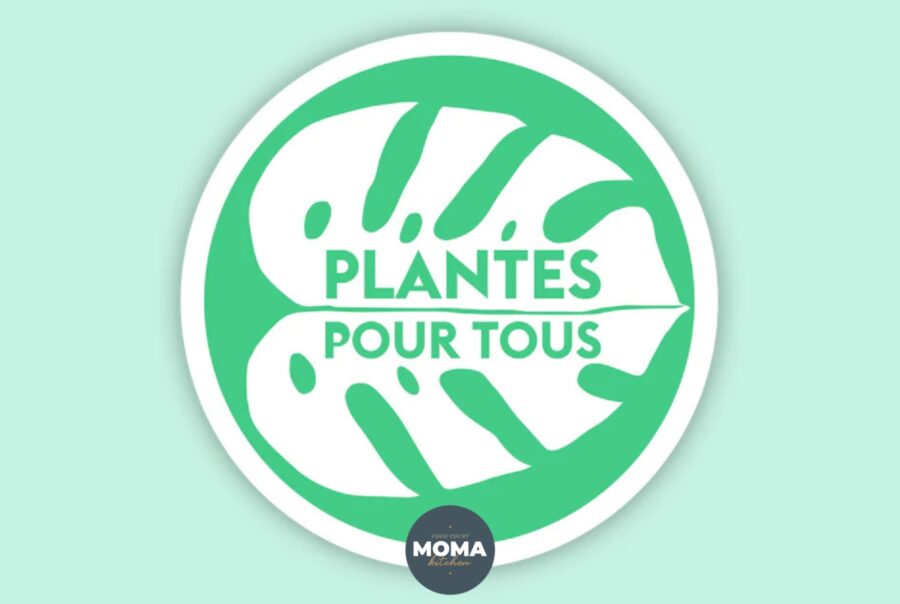 Moma Kitchen – Food court et lieu de vie à Bayonne